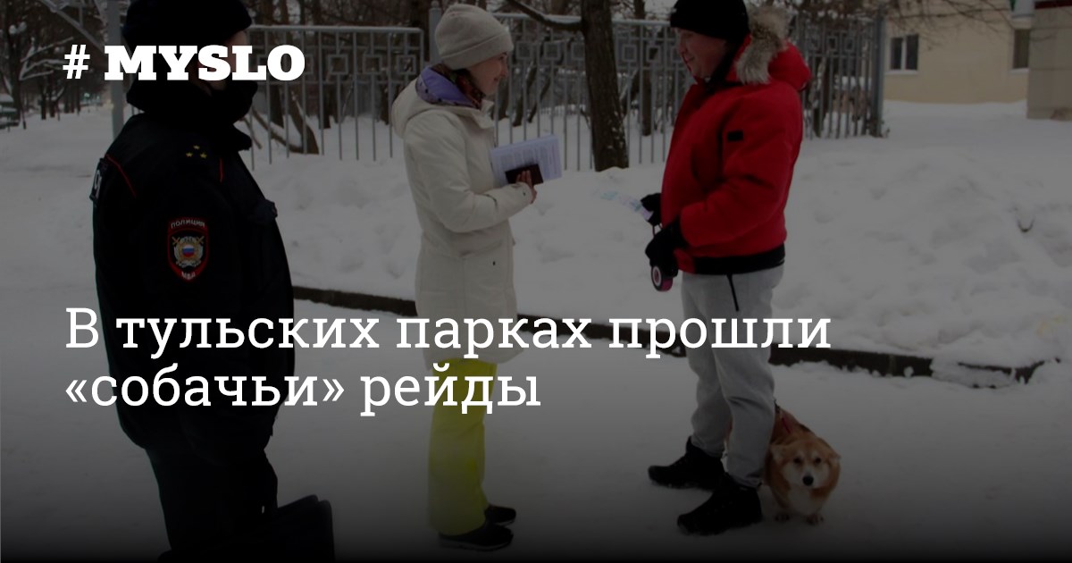 В тульских парках прошли «собачьи» рейды - Новости Тулы и области ...